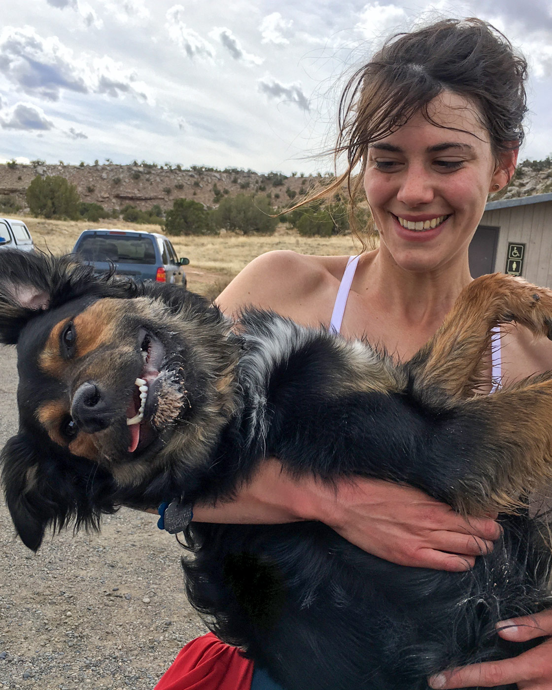 Board of Directors Elections | Mesa Monument Striders Running Club